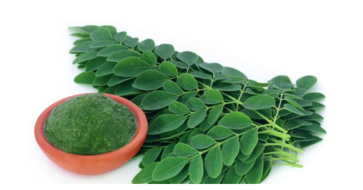 List Of 300 Diseases Moringa Cures » Healthy Life
